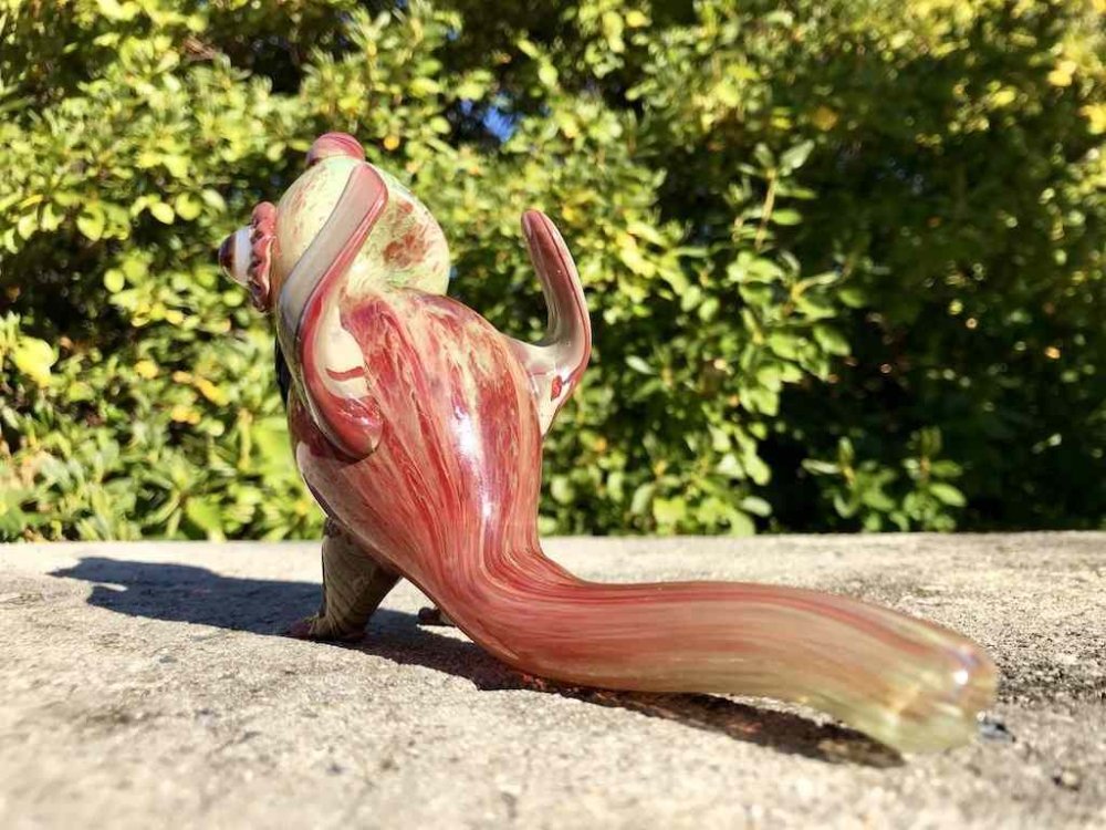 Polly the Parrot Pipe - Glass Patriots